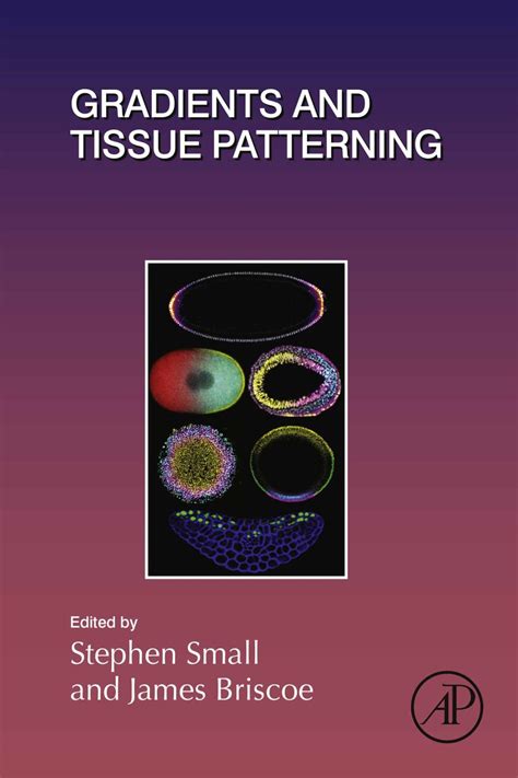 Gradients And Tissue Patterning 1st Edition Premiumjs Store