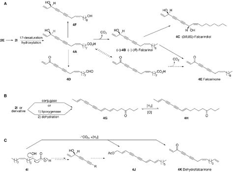 Figure 1 From Biosynthesis And Function Of Polyacetylenes And Allied Natural Products