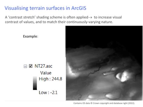 Week Flashcards Quizlet