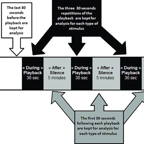 Schematic Representation Of The Playback Sequence Three Distinctive
