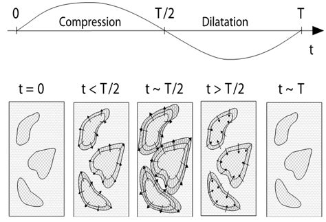 2a Presents The Concept Of The Numerical Oscillatory Test As Proposed