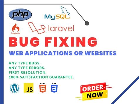 Expert Coder For Bugs Fixing In Your Existing Web Application Or Website Upwork