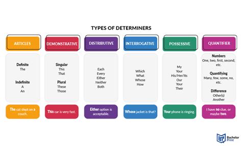 Quantifying Determiners Artificial Intelligence Powered Quality