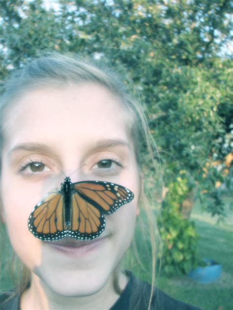 Flutter By Thatchickcasey On Deviantart