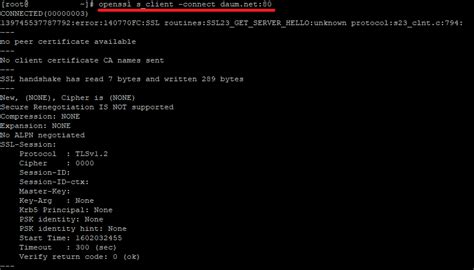Openssl Sclient 명령어를 사용하여 Ssl Tls버전 확인