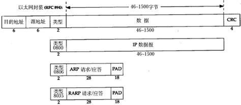 网络协议格式 以太网帧、arp数据报、ip数据报、udp数据报、tcp数据报 csdn博客