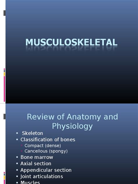 Pdf Skeleton Classification Of Bones Dokumentips