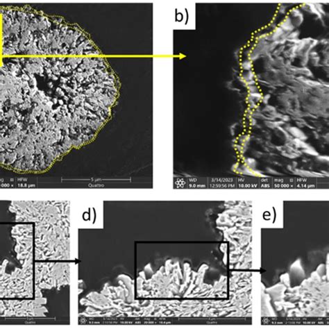 Sem Of A Cross Sectioned Nmc B Particle A The Dotted Lines Represent