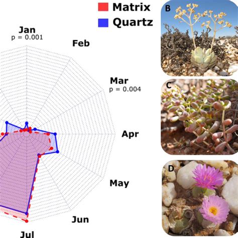 A Spider Plot Illustrating The Flowering Onset Of The Plant Species