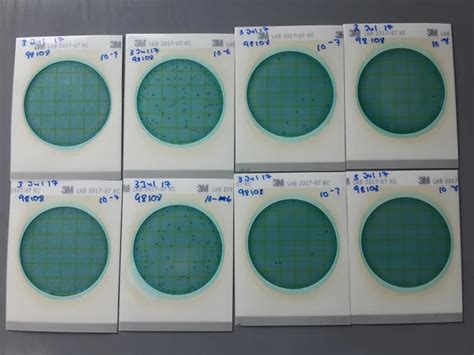 Pacific Lab Microbial Enumeration Test Meets International Standards