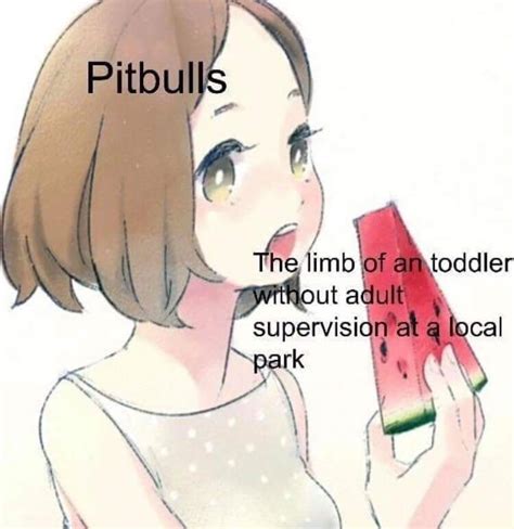 Nom Nom Nom Anime Amino