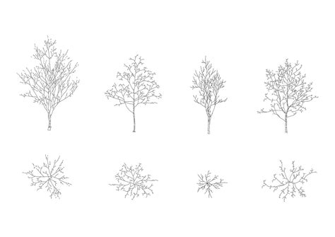Trees And Saplings Dwg Cad Blocks In Plan And Elevation 30 Pieces