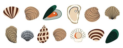 Shellfish Decoration Vector Art Icons And Graphics For Free Download