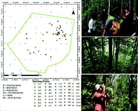Field Data Collection And Location Of Sampling Plots Download