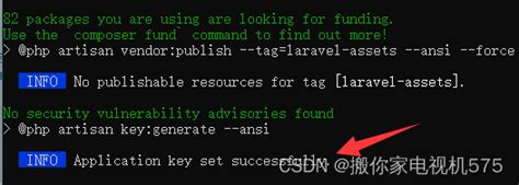 Phpstudy Laravel X Composer Csdn