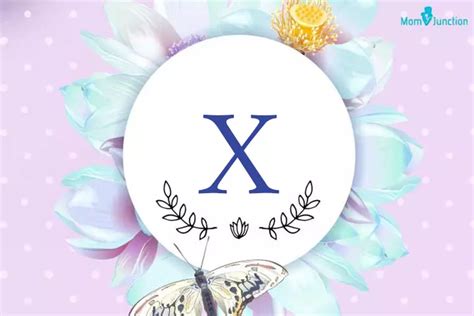 Explore Xiao Name Meaning Origin Pronunciation History And More Meaning Origin And Popularity