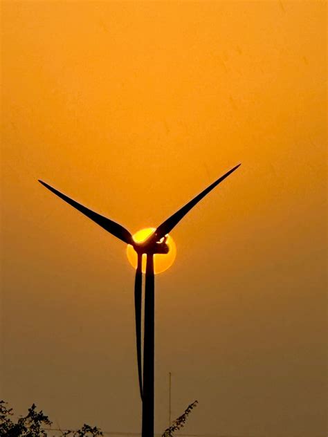 Adeel Raza On Linkedin Work Hard Be Kind And Amazing Things Will Happen🍂