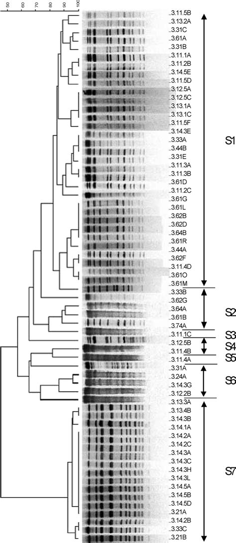 Pharyngeal Colonization Dynamics Of Haemophilus Influenzae And