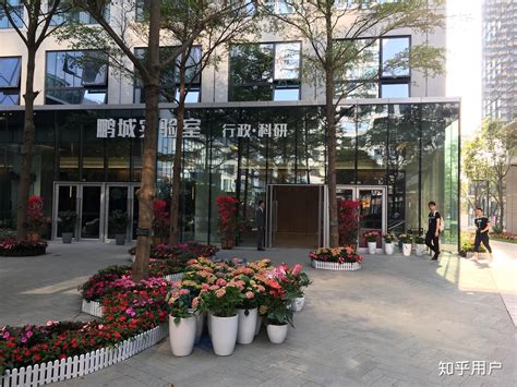 如何评价深圳新成立的鹏城实验室？ 知乎