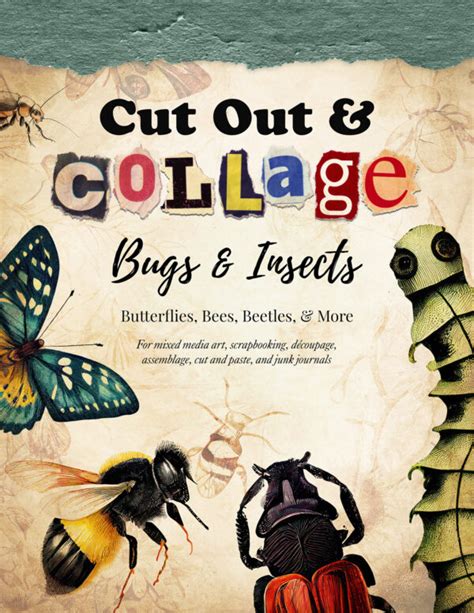 Cut Out And Collage Bugs And Insects Figgy Designs