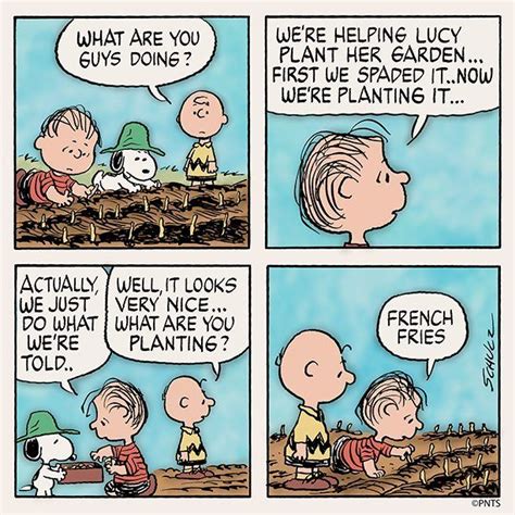 Peanuts Snoopy Peanuts Comics Charlie Brown Comics Garden Poems 4th