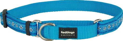 Obojek Red Dingo Polostahovací 20 mm x 33-50 cm - Daisy Chain Turquoise ...