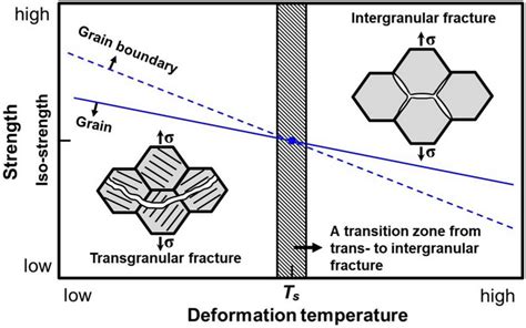 Schematic Diagram Of The Relationship Between Deformation Temperature Download Scientific