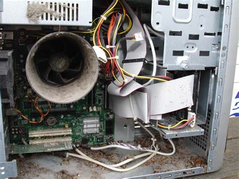 Michael Offutt A Computer Filled With Cockroaches Is The Catalyst For