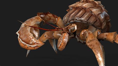Crab B2 Animated 3d Model By Animated3d