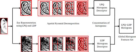 Combined Feature Set Representation Of The Ear Download Scientific
