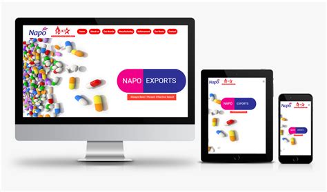 web n soft solution php laravel angular react dedicated