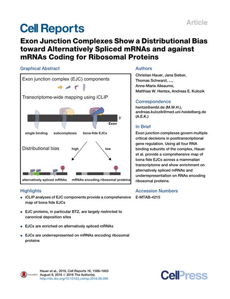 Pdf Exon Junction Complexes Show A Distributional Bias Toward