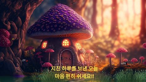 힐링음악 수면음악 치치고 함들때 조용한 음악 피아노 음악 Youtube