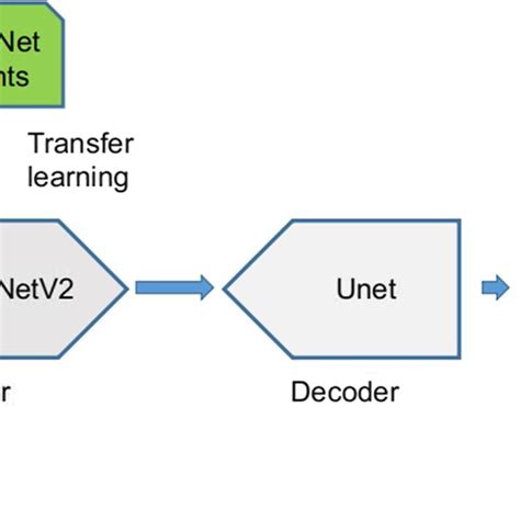 Proposed Nn Architecture For Phytolith Classification And Segmentation Download Scientific