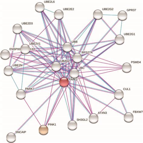 Building A Mathematical Toolbox For Biological Network Analysis Siam
