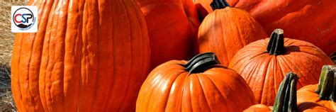 October 2022 Cyber Security Partners Newsletter Csp Partners