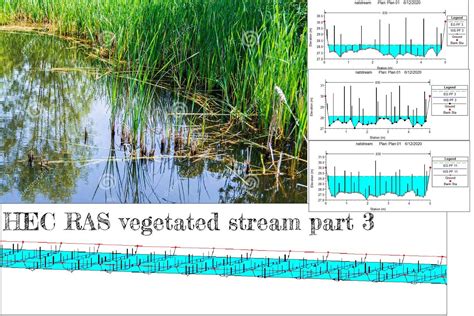 Hec Ras Tutorial Modeling Of Vegetated Stream Part 3 Hec Ras Tutorial Modeling Of Vegetated