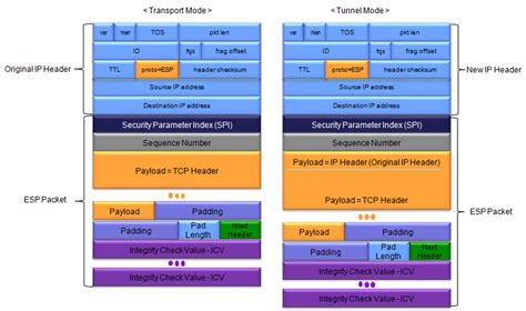 IP Network ShareTechnote