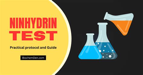 Ninhydrin Test Definition Principle Procedure Result Uses