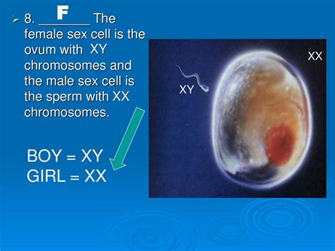 Unit 2 Section A Read The Scenario Ppt Download