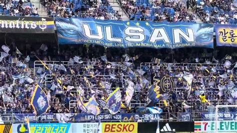 240601 울산hd 서포터즈 처용전사 Youtube