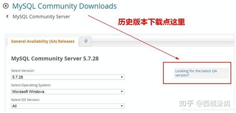 【全网首发】window11环境安装 mysql server 步骤（建议收藏） 知乎