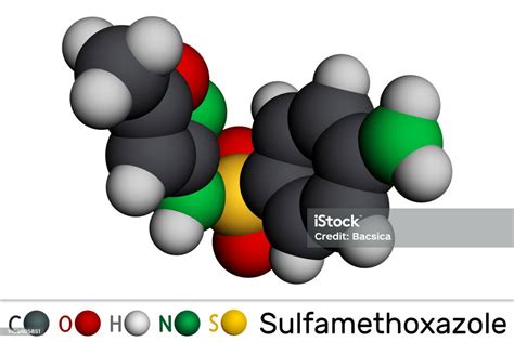 설파메톡사졸 Smz Smx 분자 그것은 박테리아 감염에 사용되는 설폰 아미드 항생제입니다 분자 모델 3d 렌더링 3차원 형태에 대한 스톡 벡터 아트 및 기타 이미지 Istock