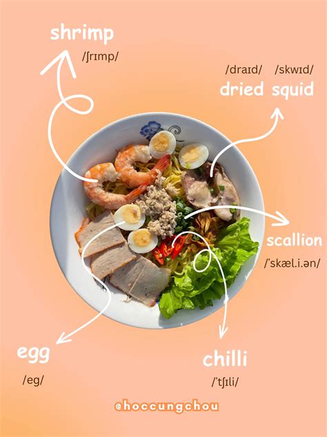 Quạt Trong Tiếng Anh Là Gì Giải Nghĩa Chi Tiết Và Phân Biệt Các Loại Quạt