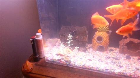 Spongebob And Its Reflection Youtube