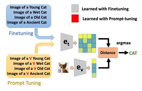Overview Of Vlm Based Classification Image Is Passed Through The
