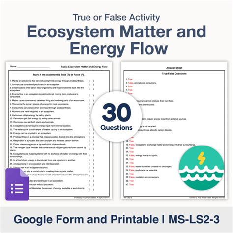 Ecosystem Matter And Energy Flow Quiz Ms Ls2 3 Digital Printable