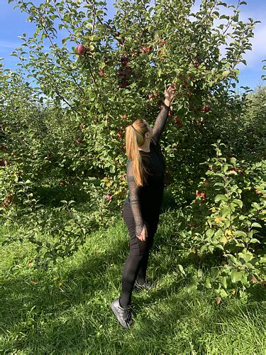 Ravelry Cobweb Cloak Pattern By Park Williams