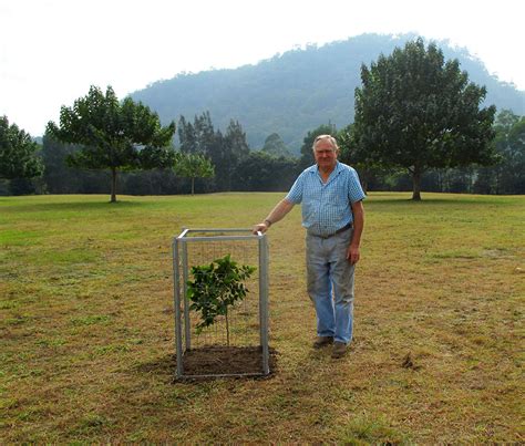 Tree Guards AUSTRALIAN TREE GUARDS