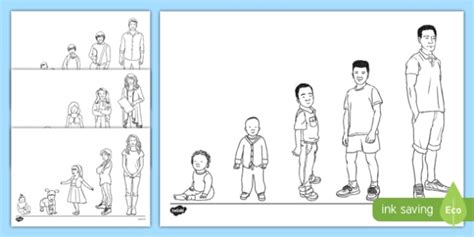 Growing Up Colouring Pages Teacher Made